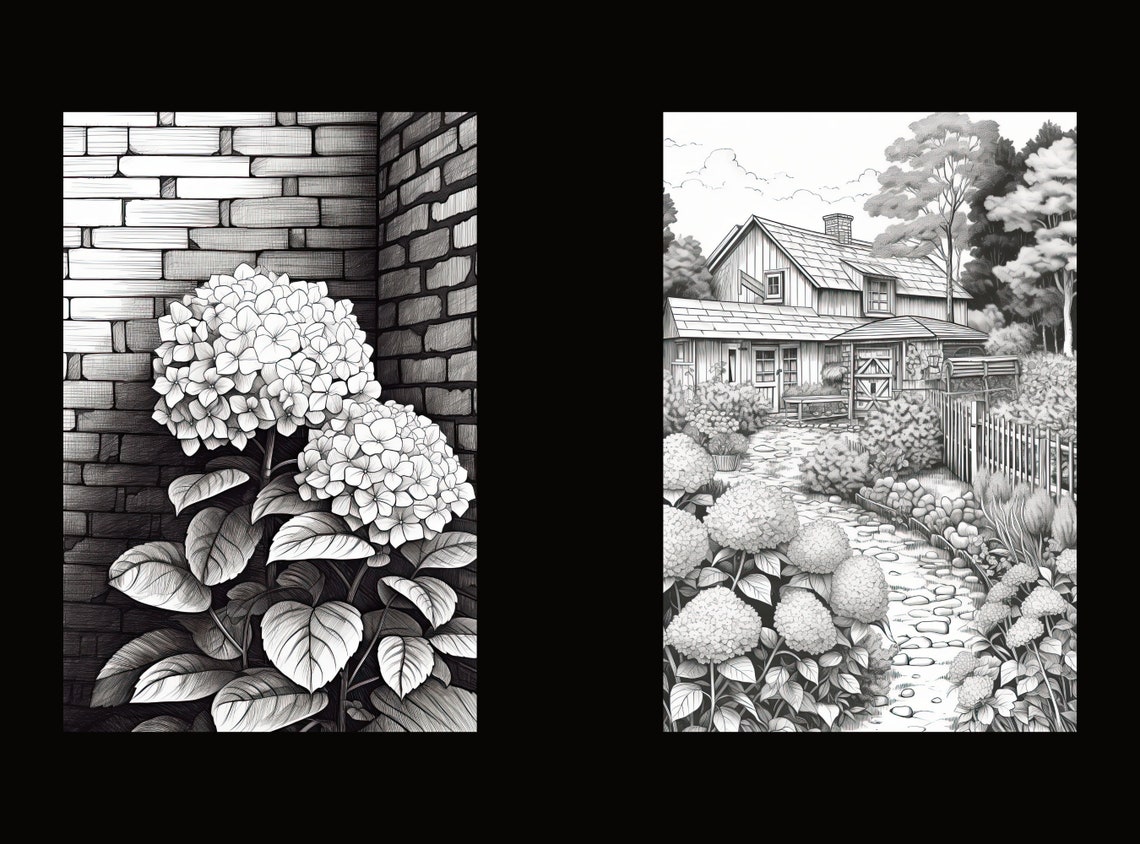 Hydrangea Coloring Pages: 25 Printable Flower Designs (PDF) - Etsy