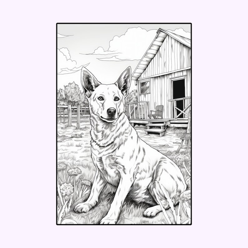 Australian Cattle Dog Coloring Pages: 20 Printable Designs (PDF) - Etsy ...