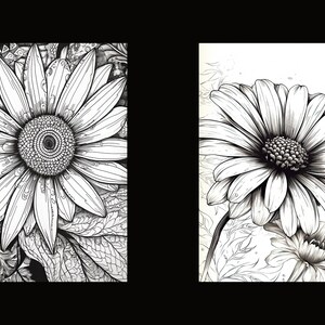 Daisy Coloring Pages, 25 Daisy Coloring Printable PDF Pages, Daisy ...