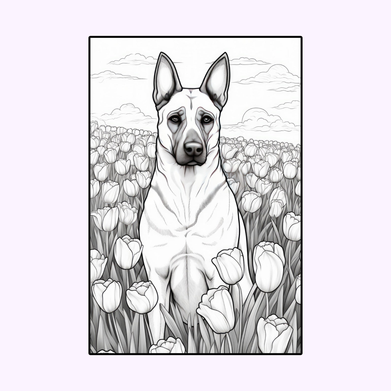 Belgian Malinois Coloring Pages: 37 Printable Dog Illustrations (PDF ...