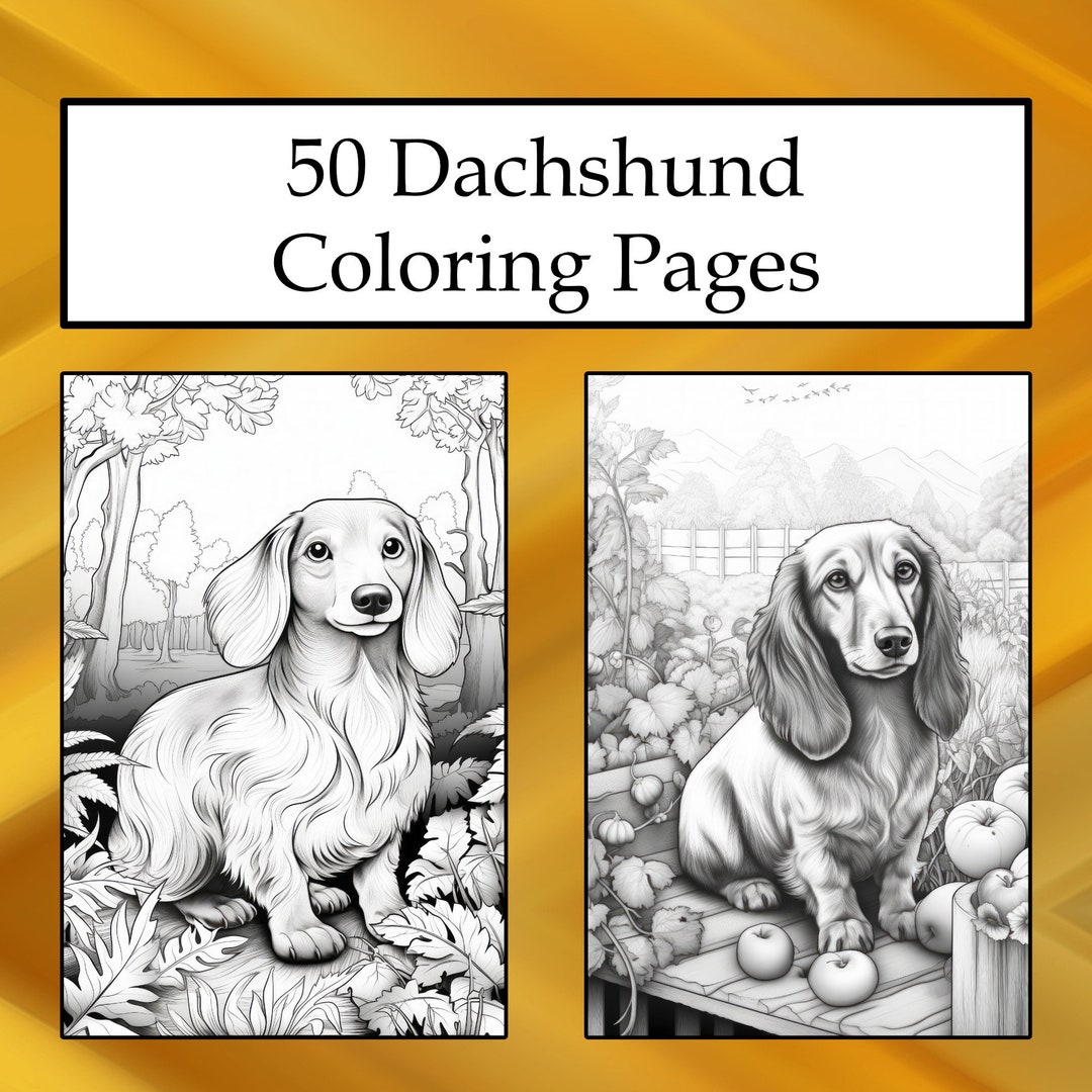 50 Dachshund Coloring Pages: Printable Dog Art (PDF Download) - Etsy