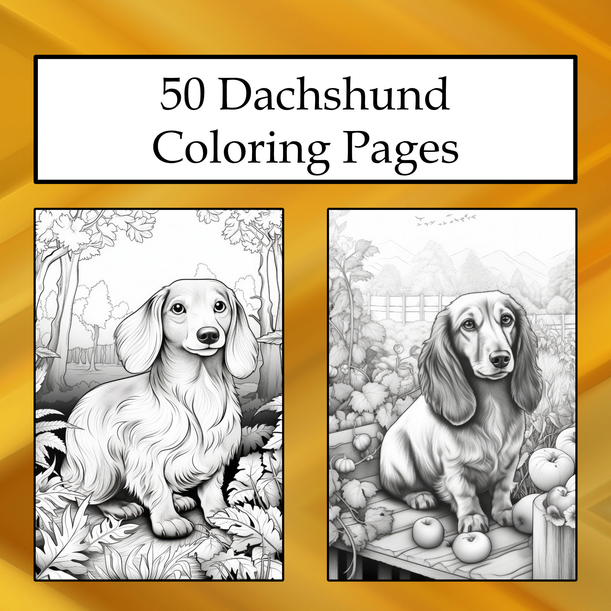 50 Dachshund Coloring Pages: Printable Dog Art (PDF Download) - Etsy