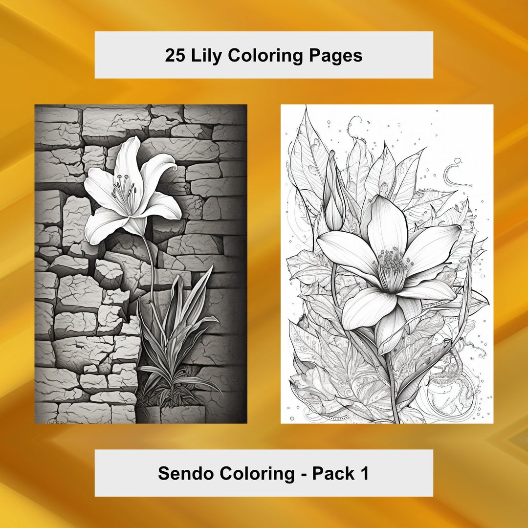 Lily Flower Coloring Pages, 25 Lily Coloring Printable PDF Pages ...