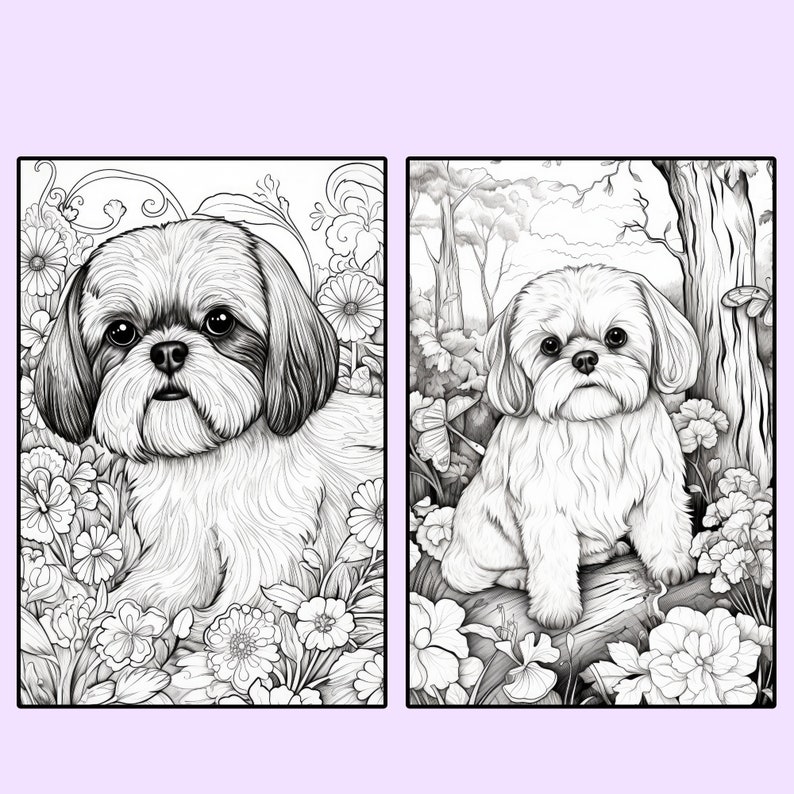50 Shih Tzu Coloring Pages: Printable Dog Art (PDF Download) - Etsy ...