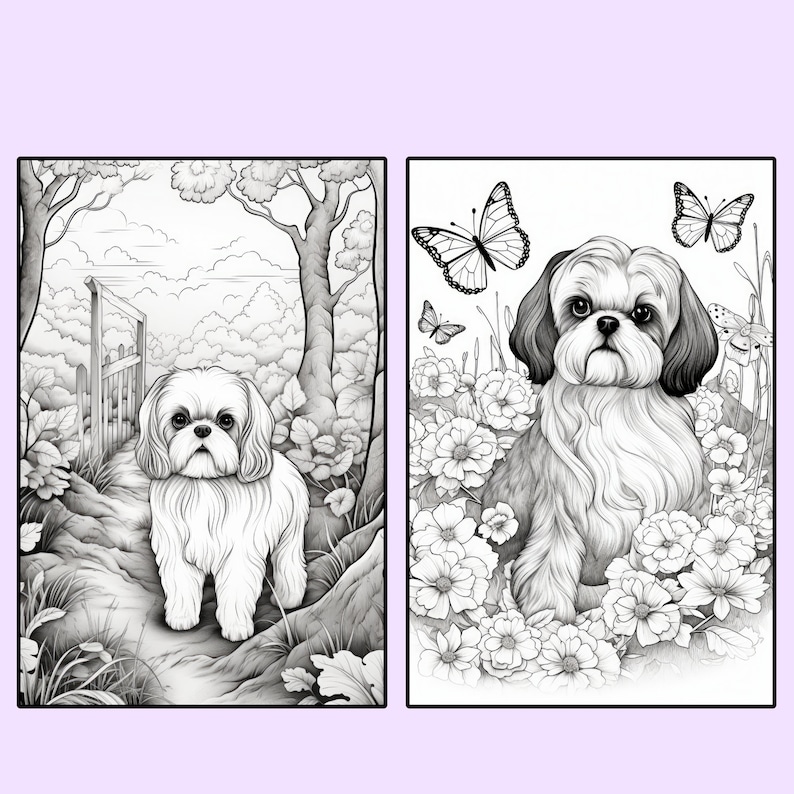 50 Shih Tzu Coloring Pages: Printable Dog Art (PDF Download) - Etsy ...