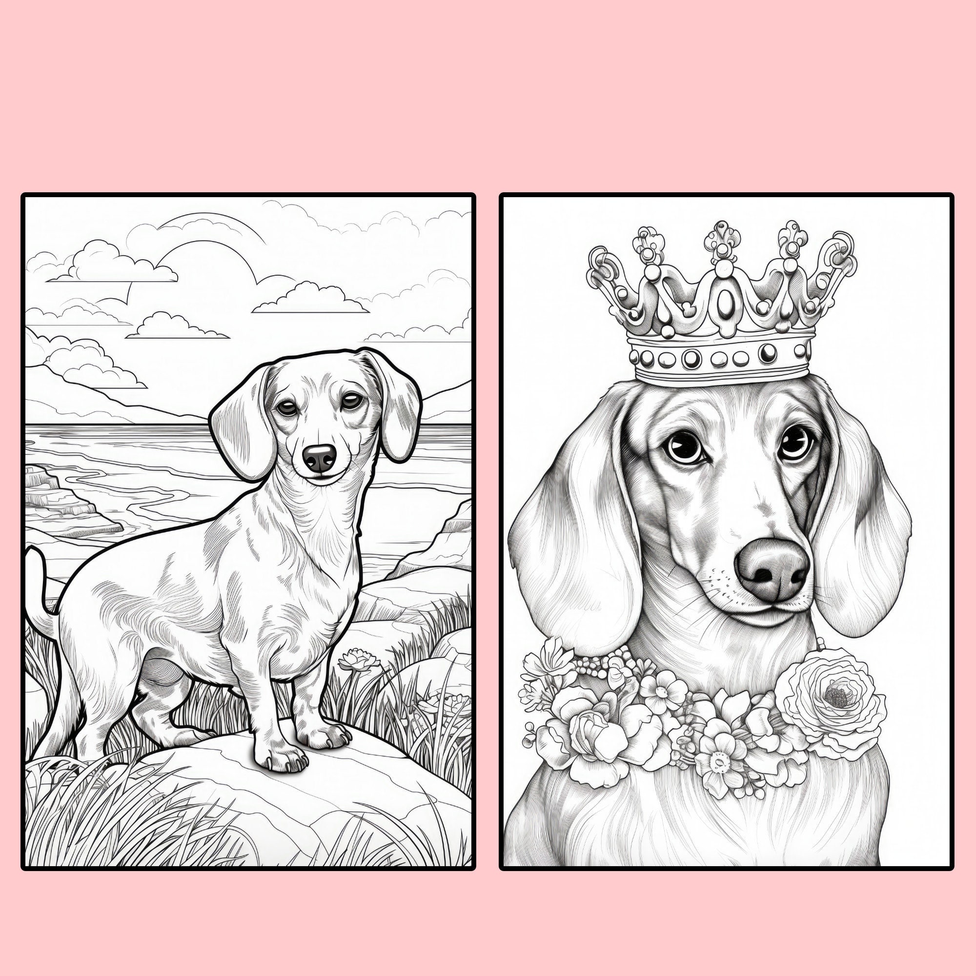 50 Dachshund Coloring Pages: Printable Dog Art (PDF Download) - Etsy
