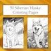 50 Siberian Husky Coloring Pages, Printable PDF Dog Coloring Pages ...