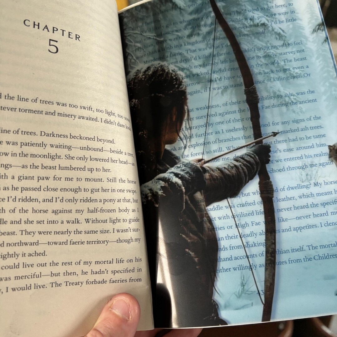 A Court of Thorns and Roses Book Overlays (extended) - Etsy