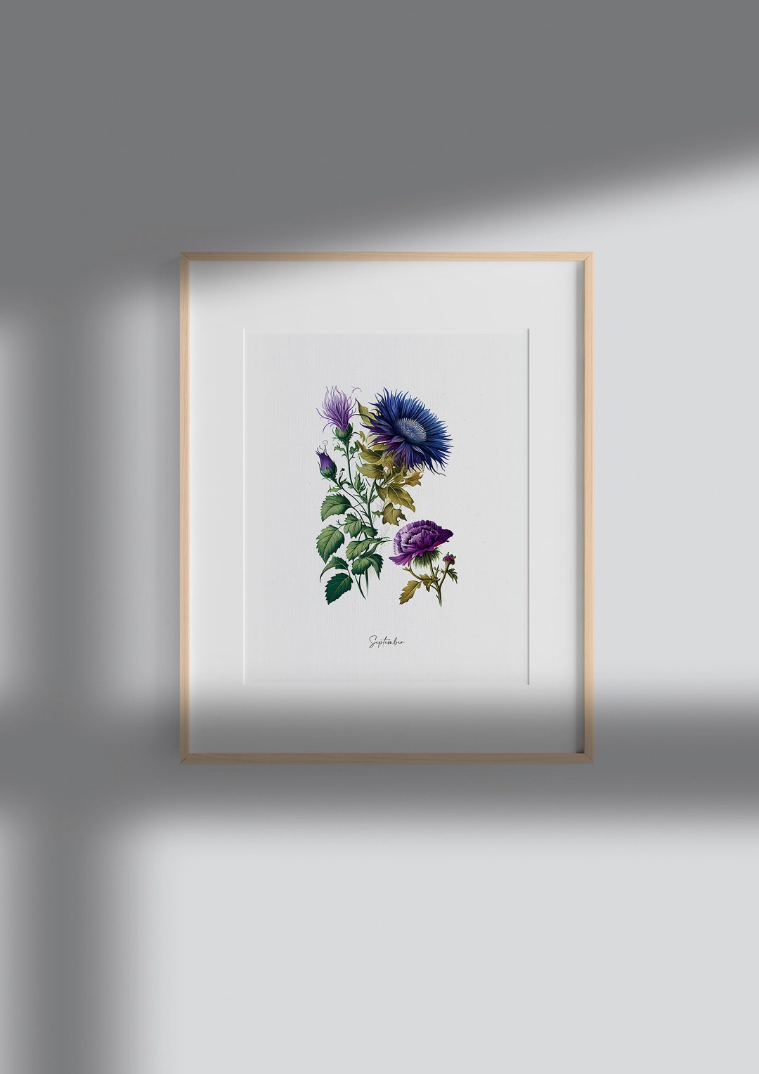 September Birth Flowers | Aster and Morning Glory Flower Print ...