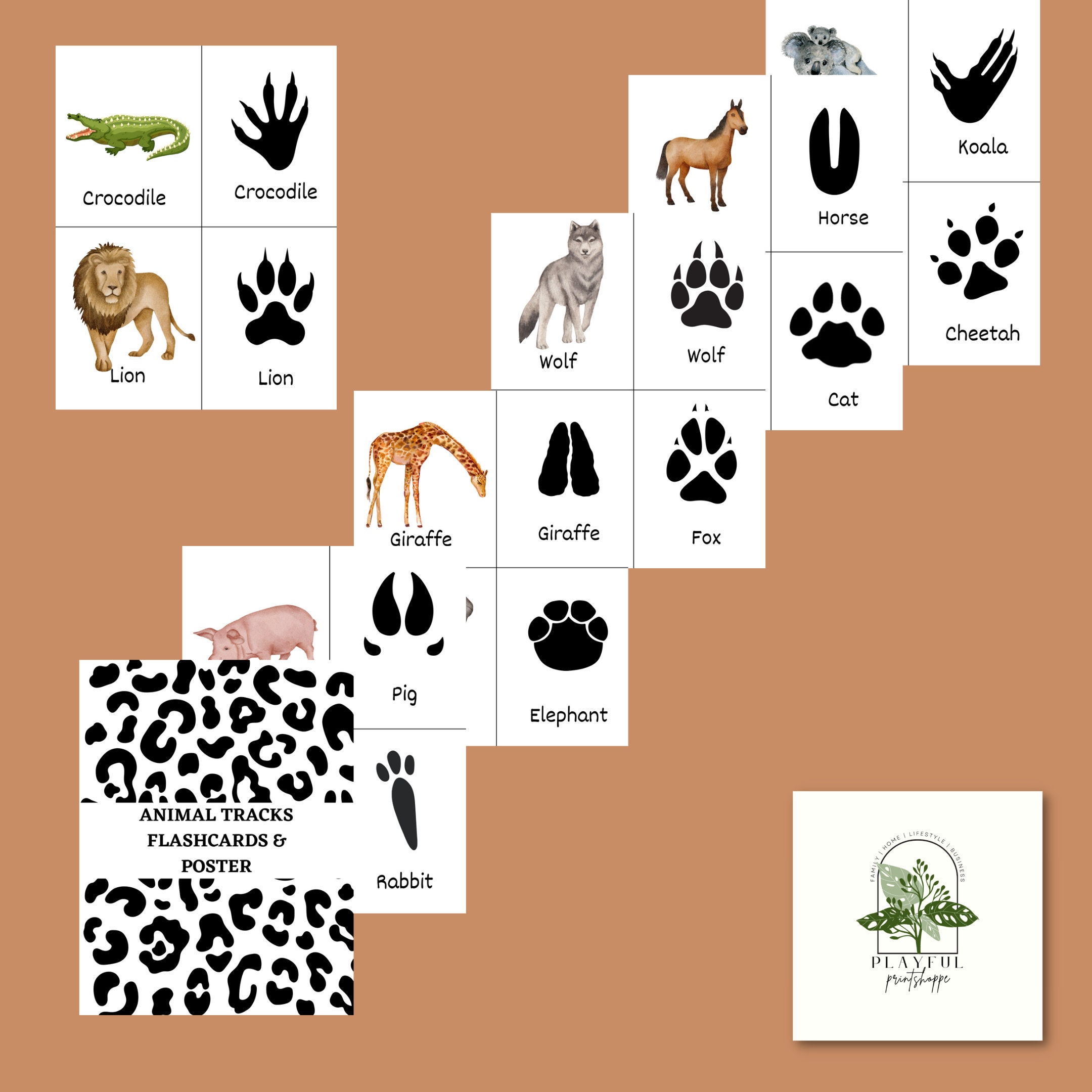Animal Track Flashcards at Norman Nelson blog