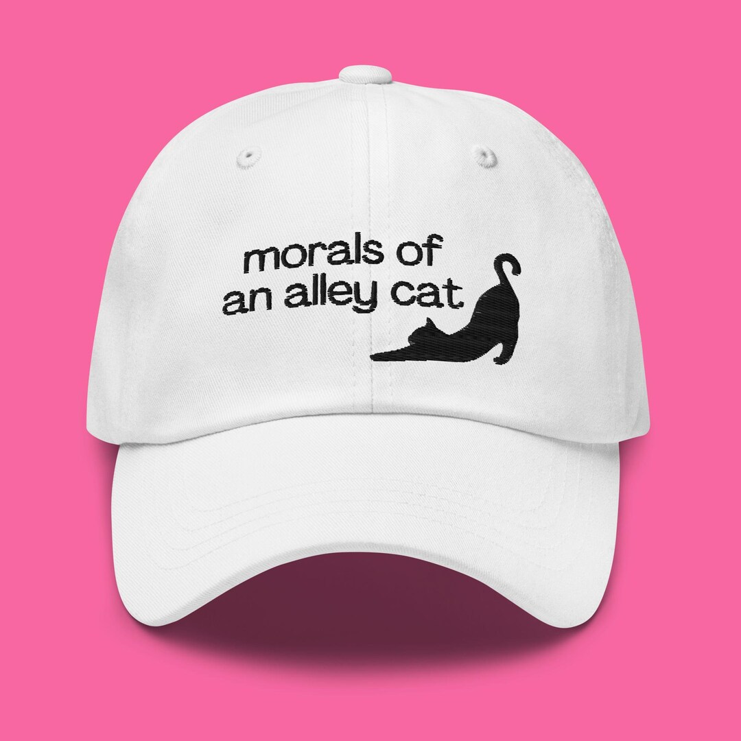 Morals of an Alley Cat 2024 Debate Hat Democrat Republican Political Funny Election for ...