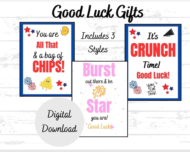 Good Luck Gift Motivational Gift Idea All That and a Bag of Chips ...