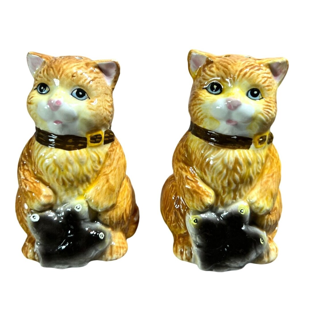 Cats With Fish Salt and Pepper Shaker Set - Etsy
