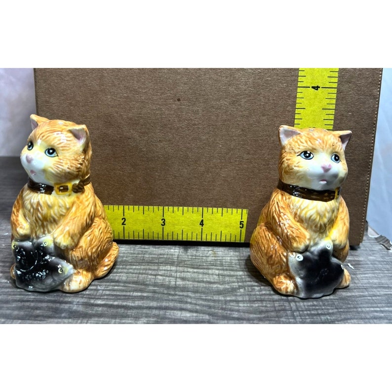 Cats With Fish Salt and Pepper Shaker Set - Etsy