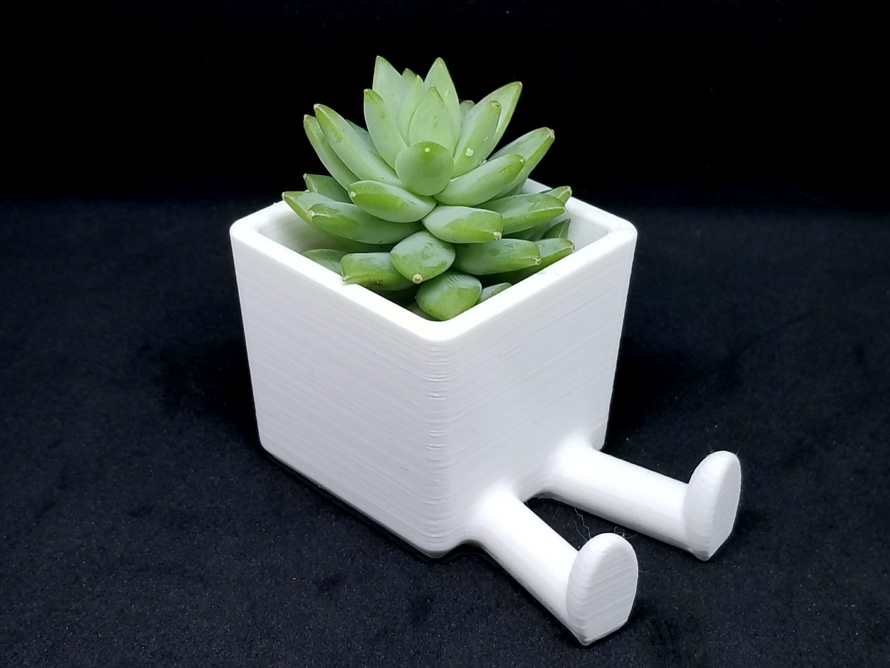 3D Succulent Planter Stl File 3D Printer Files 3D Print File Planter ...