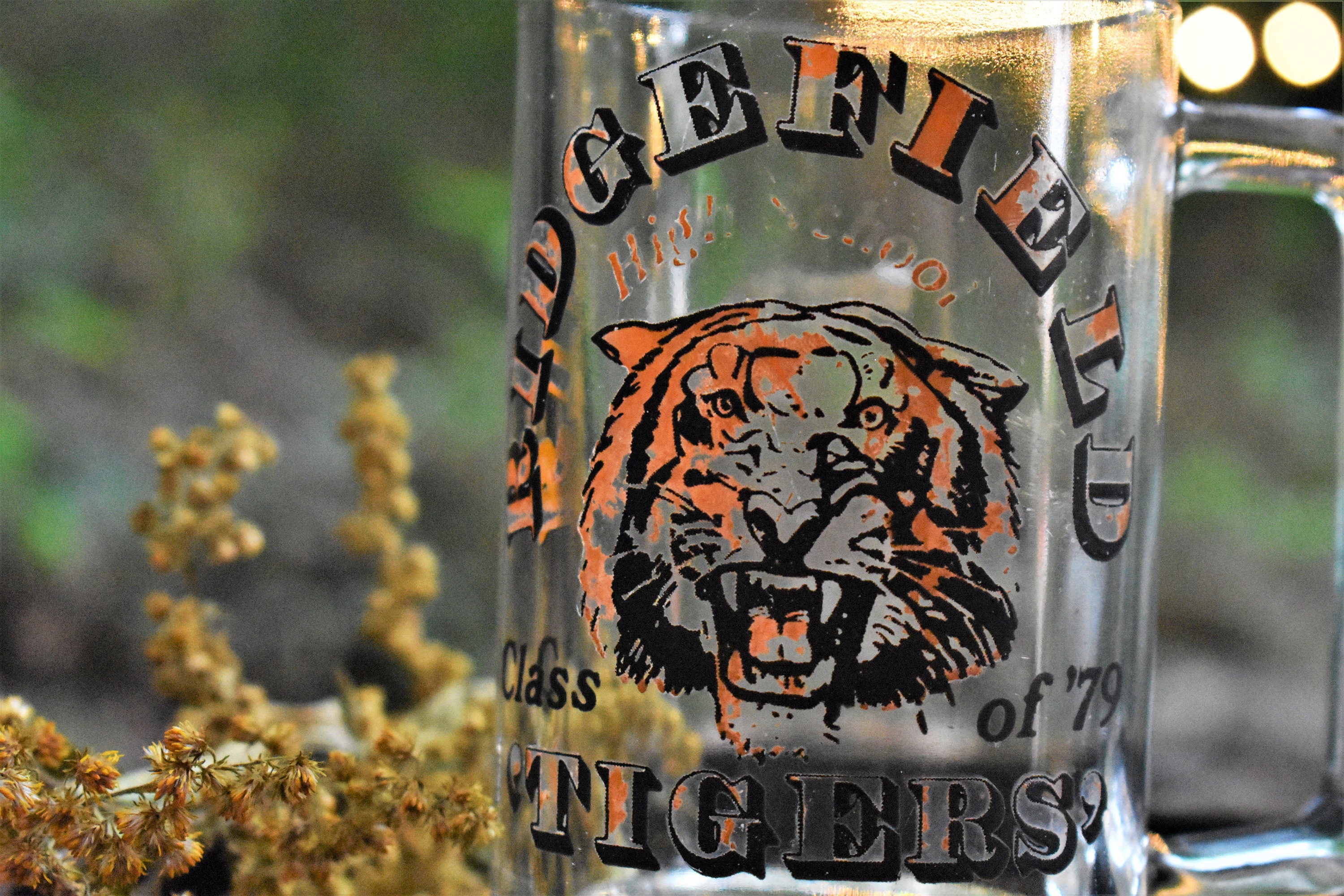 Vintage Ridgefield Tigers Class of 1979 Glass Mug - Ridgefield High ...