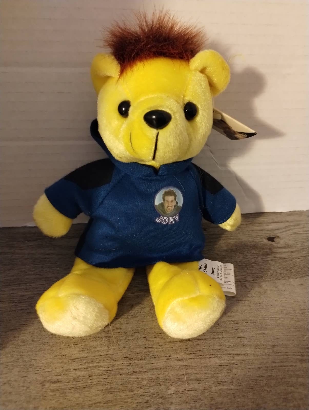 NSYNC on Stage Joey Fatone Plush Teddy Bear Collectible Limited - Etsy