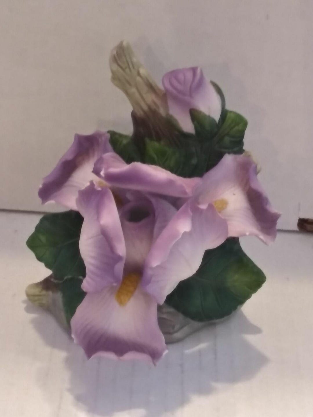 Persian Berry Iris Germanica Porcelain Night Light Cover - Etsy