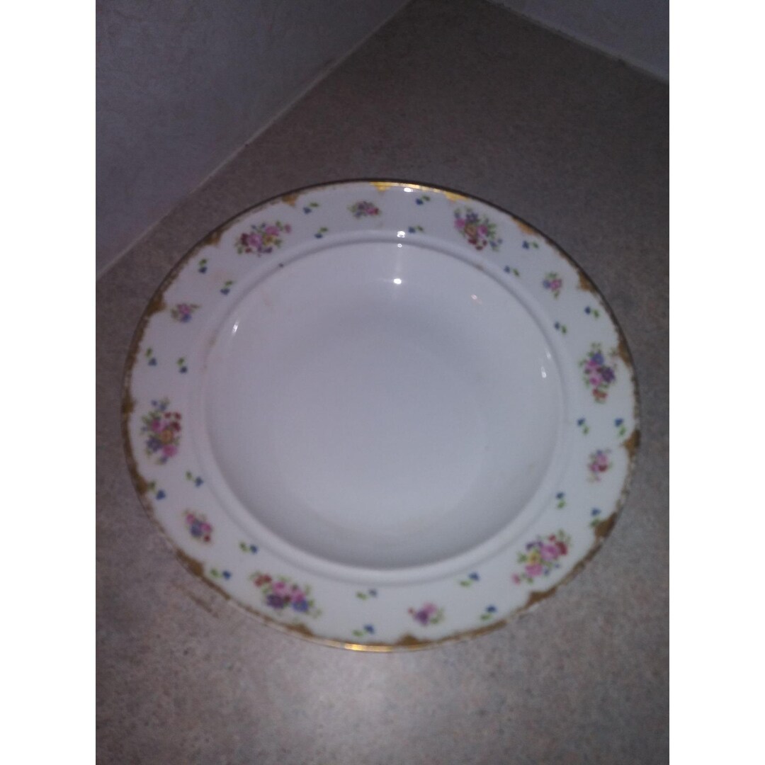 GOA France CHAS Field Haviland 9 1/4" Bowl - Etsy