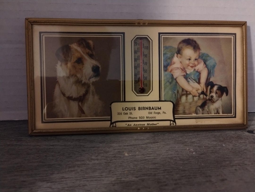 Vintage Framed Advertising Thermometer Old Forge Pennsylvania PA Dog ...