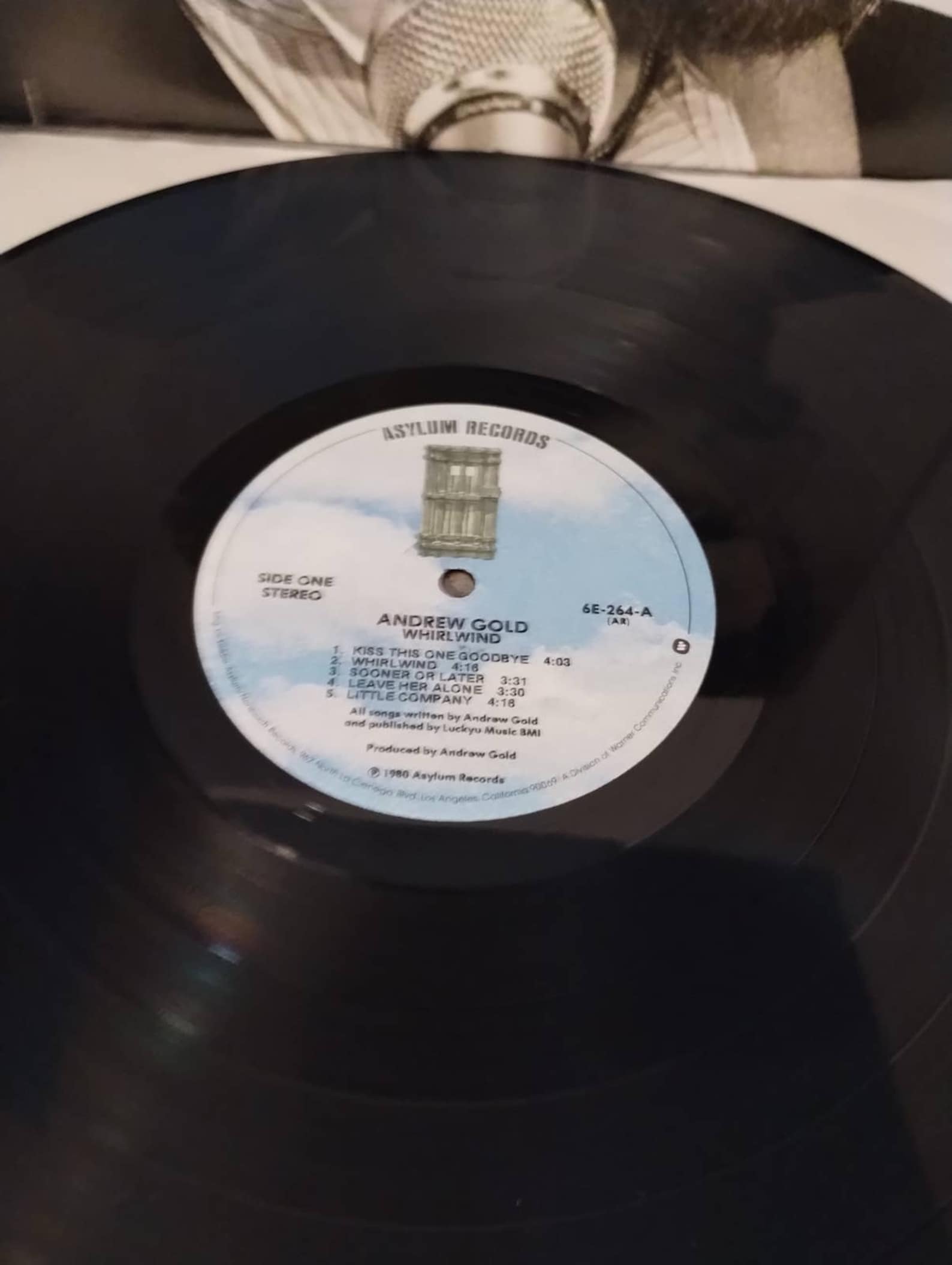 Andrew Gold Whirlwind Vinyl Record 1980 Rock Music Asylum - Etsy