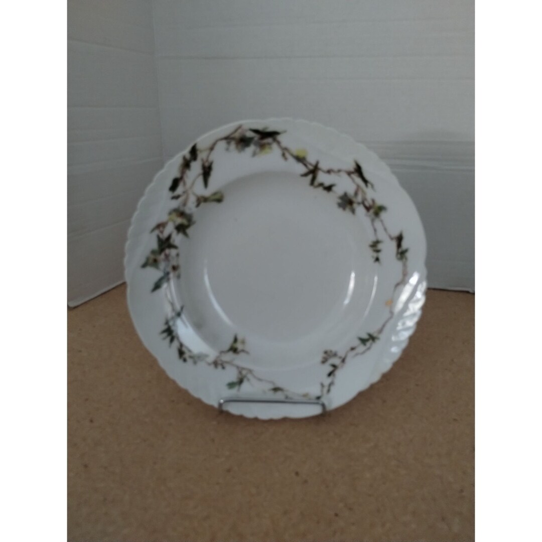 David Collamore & Co Haviland Limoges 9 1/4" Soup Bowl - Etsy