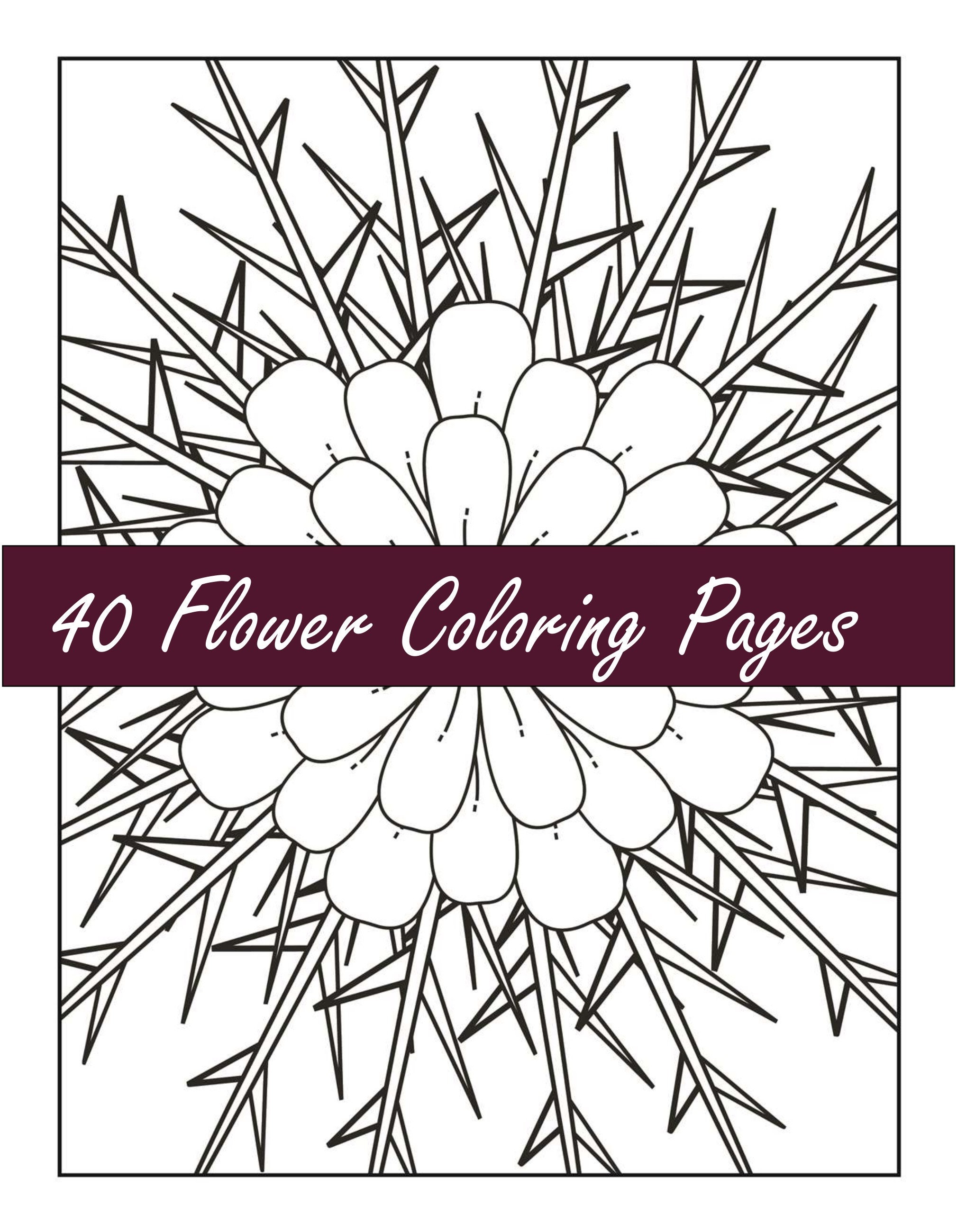 40 Mandala Flowers Coloring Pages for Adults Coloring Book Pages ...