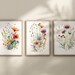 Vintage Botanical Tryptic, Set of 3, Botanical Wall Art, Floral Art ...