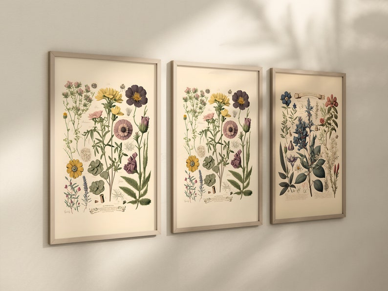 Vintage Botanical Tryptic, Set of 3, Botanical Wall Art, Floral Art ...