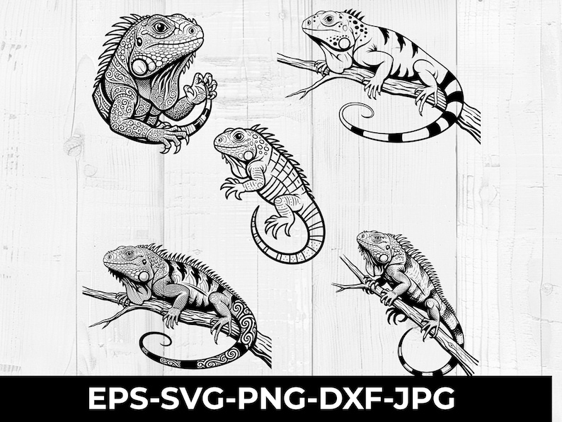 Iguana Outline SVG, Reptile Silhouette Clipart, Iguana Vector PNG ...