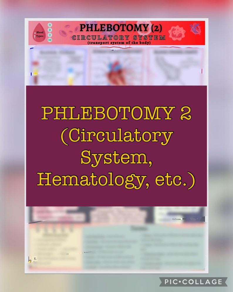 Phlebotomy PDF 6 Pages Study Guide plus 3 Free Extra Pages 9 - Etsy