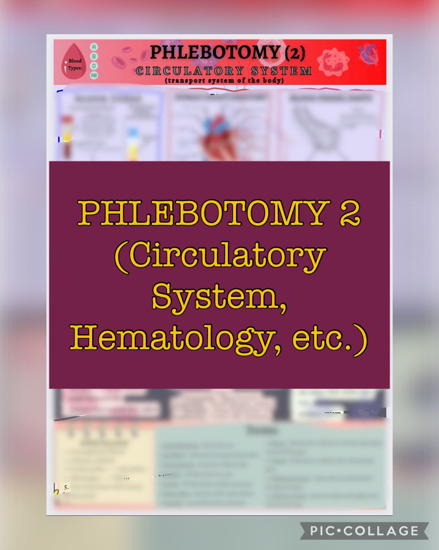 Phlebotomy PDF 6 Pages Study Guide plus 3 Free Extra Pages 9 - Etsy