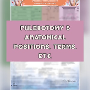 Phlebotomy PDF 6 Pages Study Guide (plus 3 Free Extra Pages) 9 Pages ...