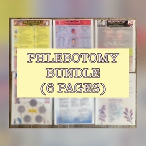 PHLEBOTOMY Heart Anatomy and Blood Flow - Etsy