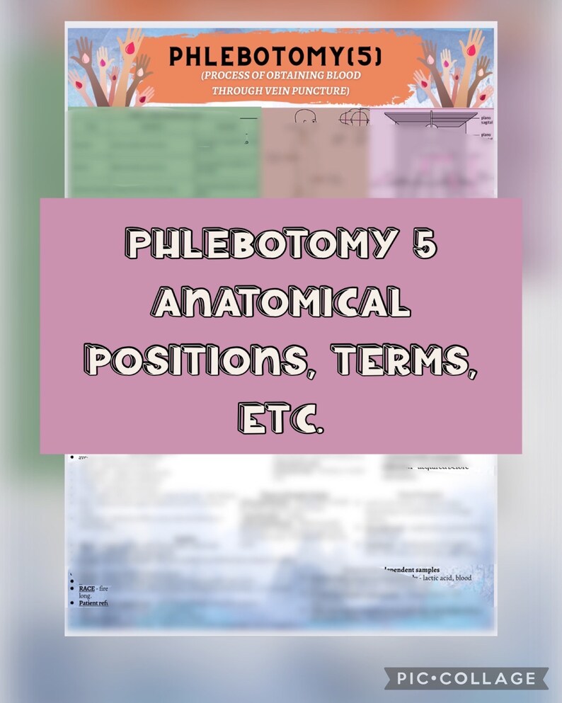 PHLEBOTOMY Anatomical Positions Etc. - Etsy