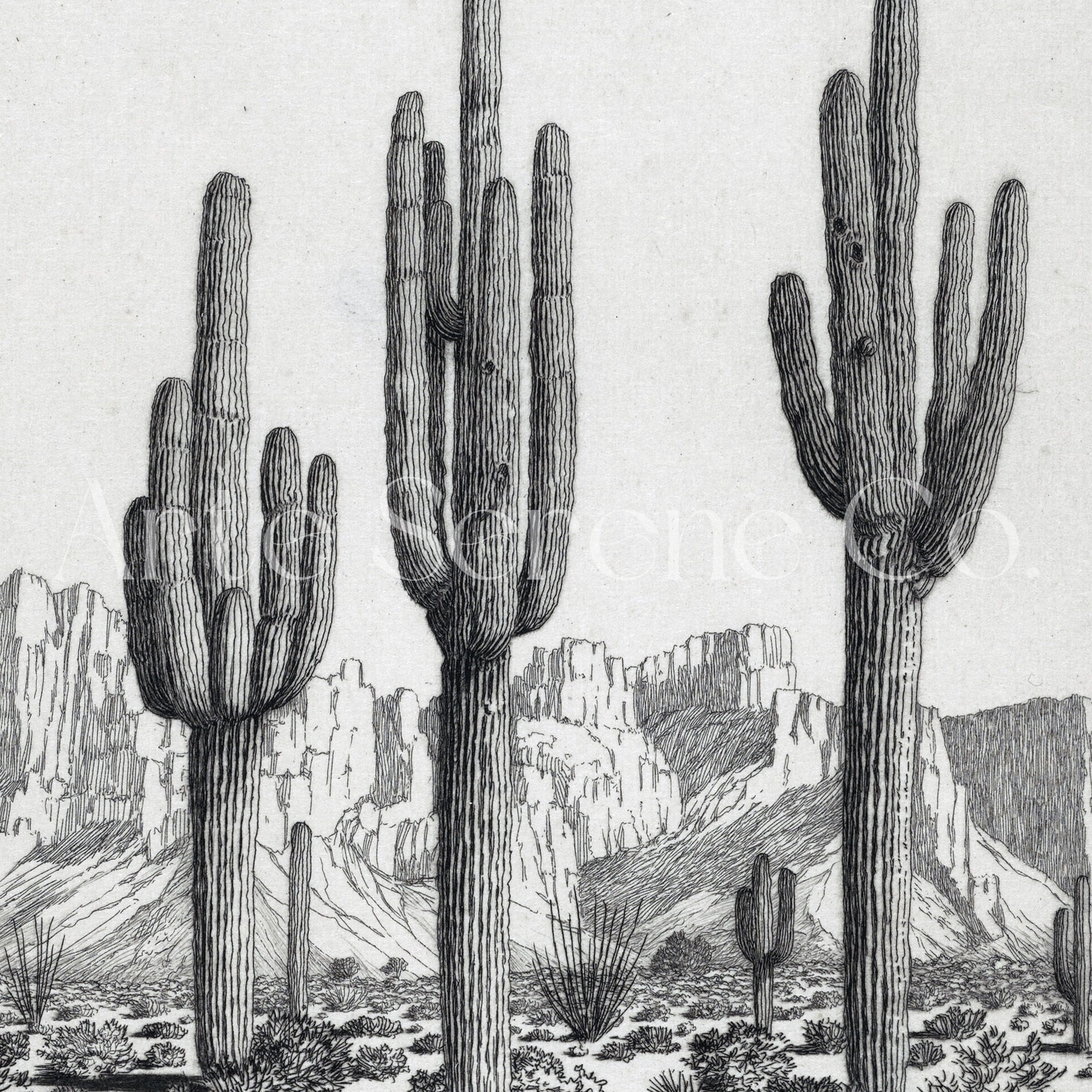 VINTAGE Retro Cactus Western Wall Art South Western Home Decor Cactus ...