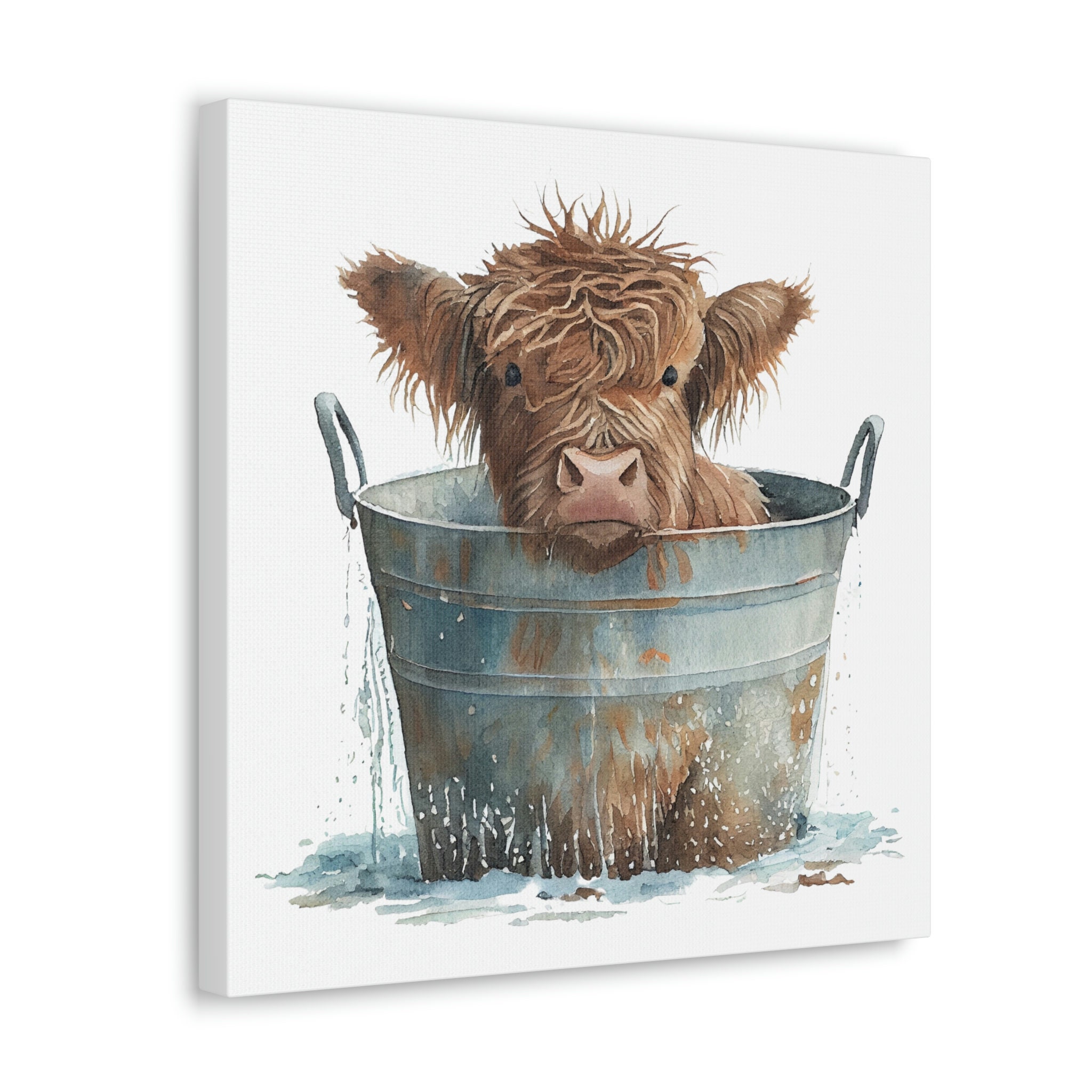 Baby Highland Cow Canvas, Bigger 16X16 Size, Wooly Cow Picture ...