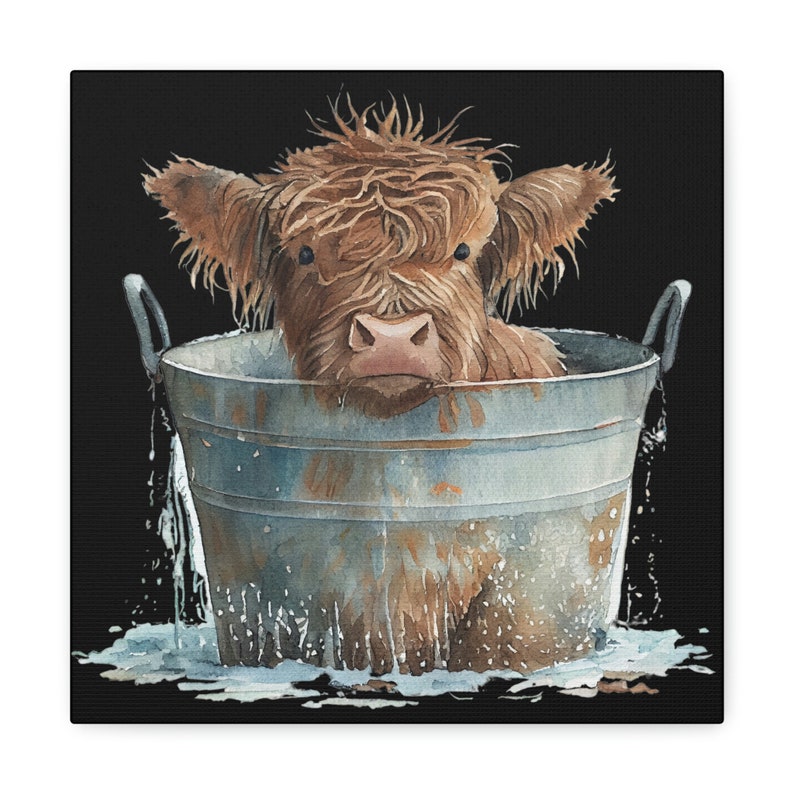 Baby Highland Cow Canvas, Wooly Cow Picture, Farmhouse Decor, New Black ...