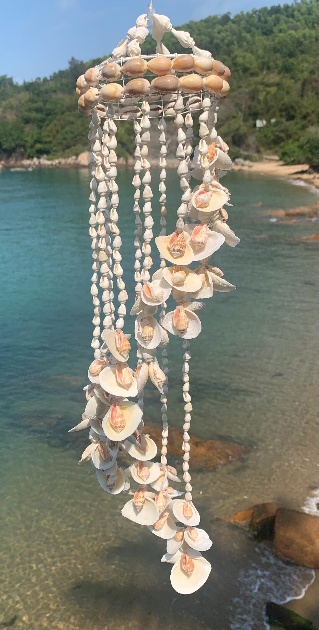 Spiral Seashell Beach Decor - Etsy