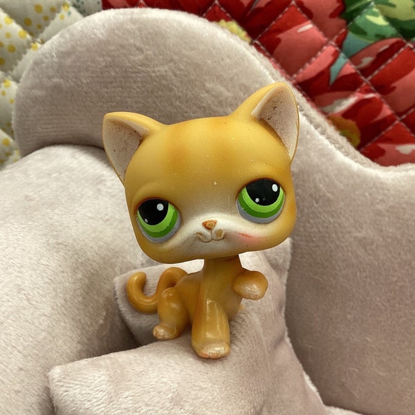 Littlest Pet Shop Orange Cat - Etsy