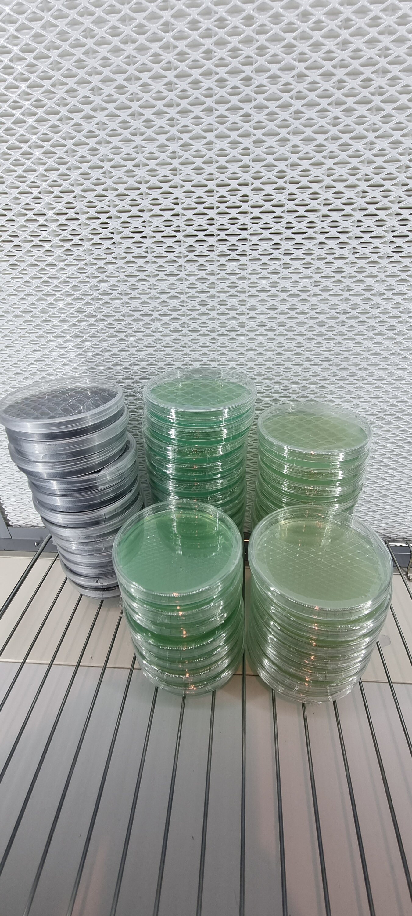 Pre-poured PDA ( Potato Dextrose ) Agar Petri Dishes in 90mm Plates - Etsy
