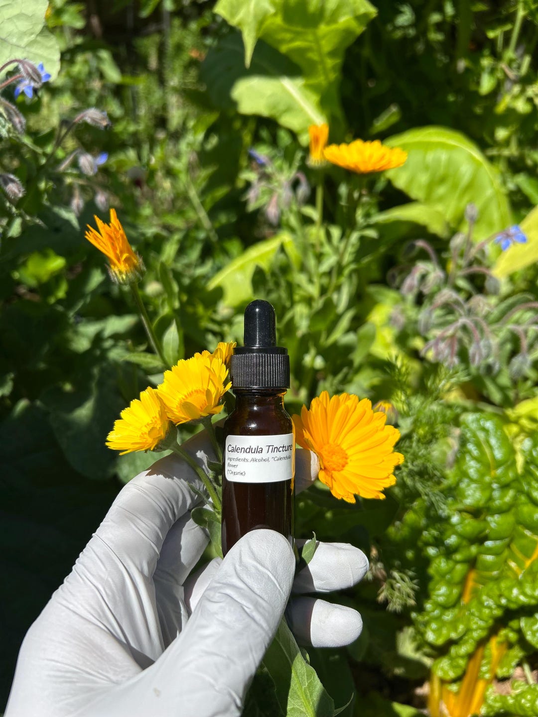 Organic Calendula (calendula Resina) Tincture for Regenerative ...
