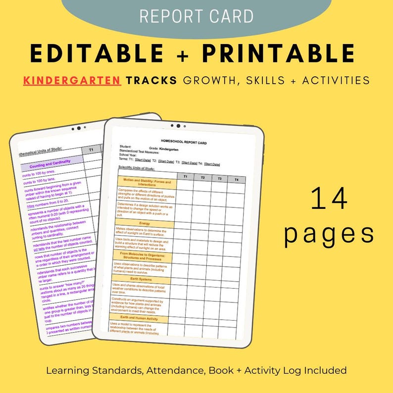 Kindergarten Report Card | Editable - Printable - Etsy