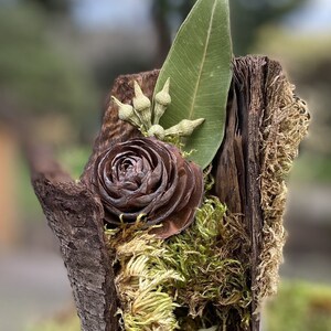 Bark Container/vase - Etsy