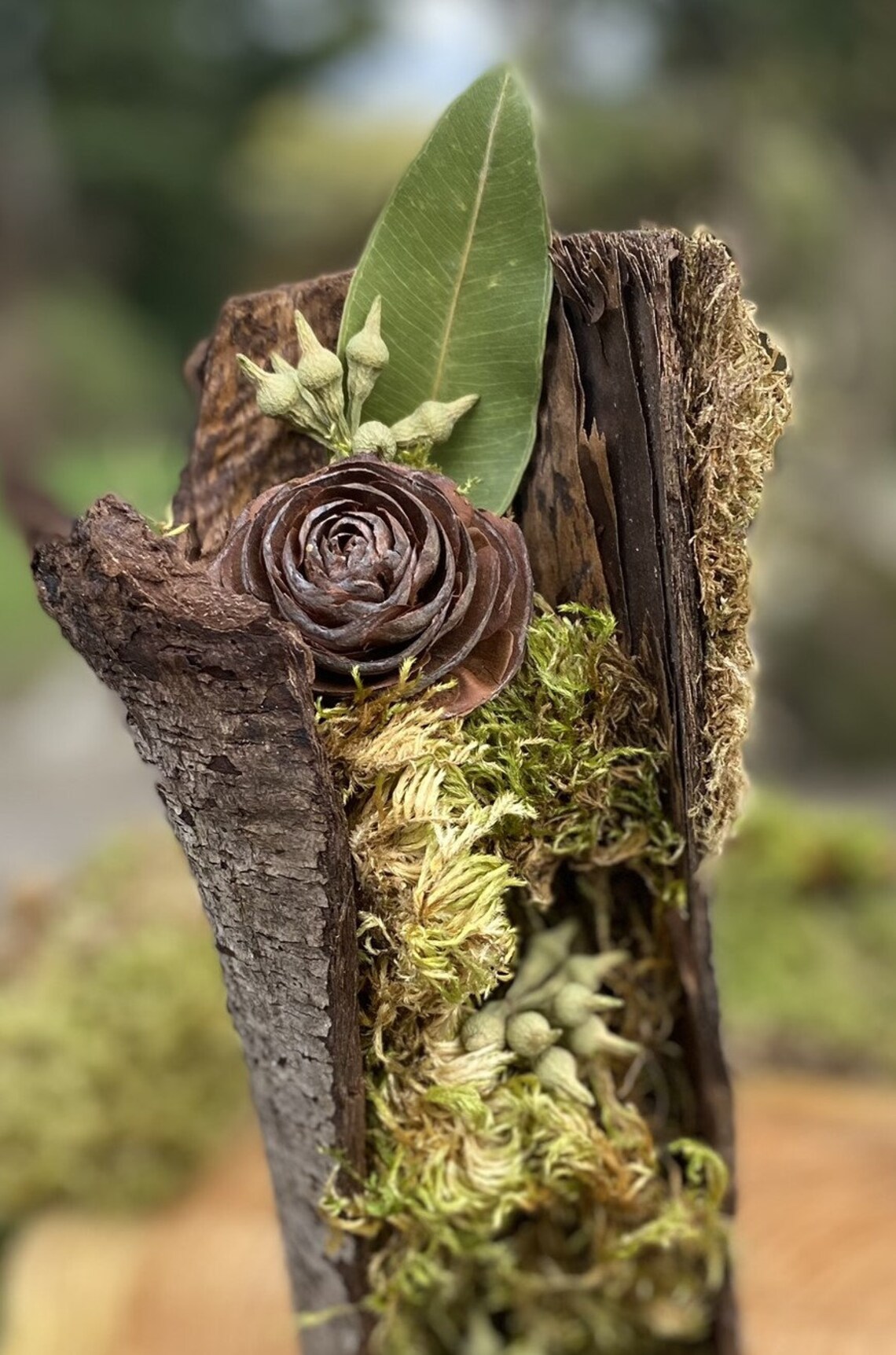 Bark Container/vase - Etsy