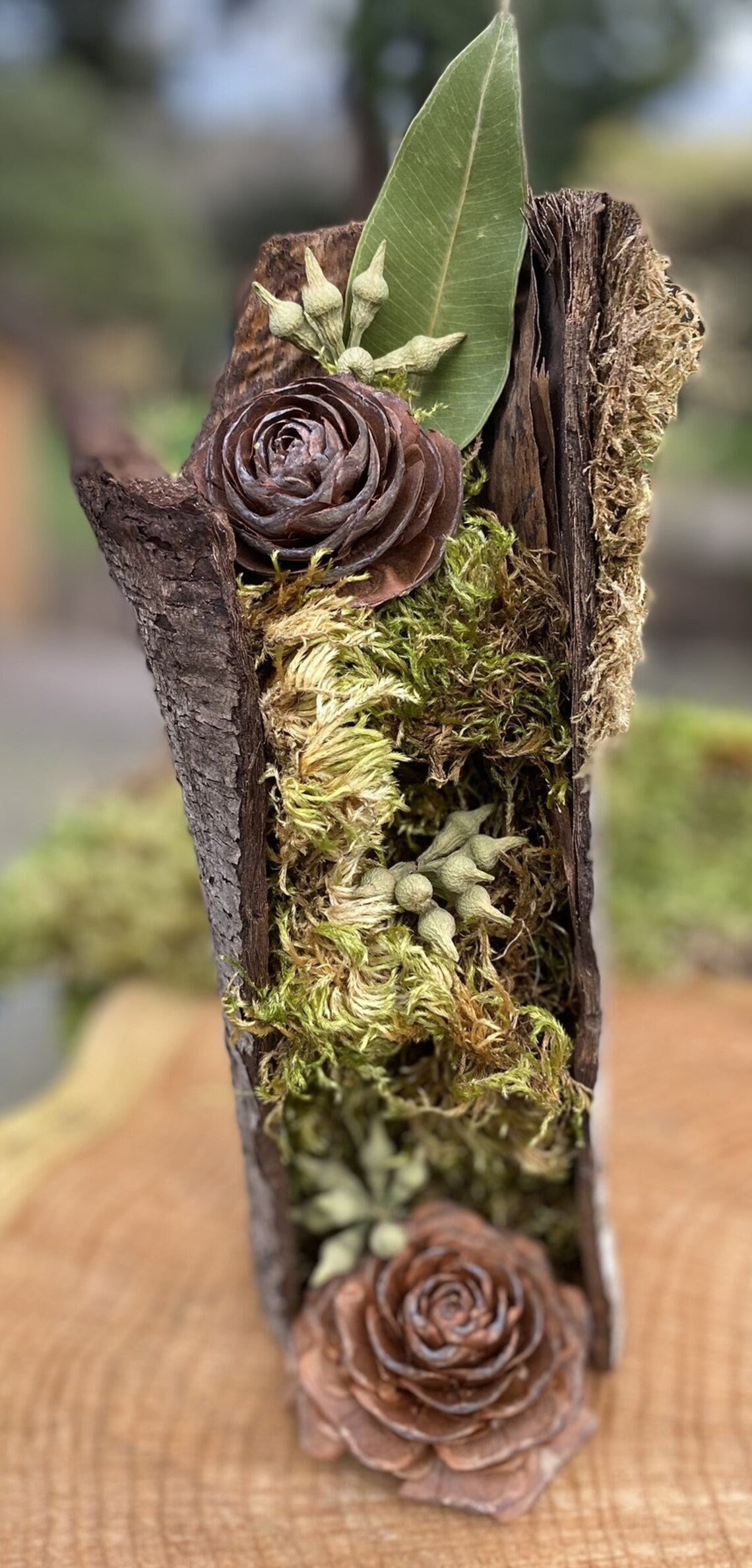 Bark Container/vase - Etsy