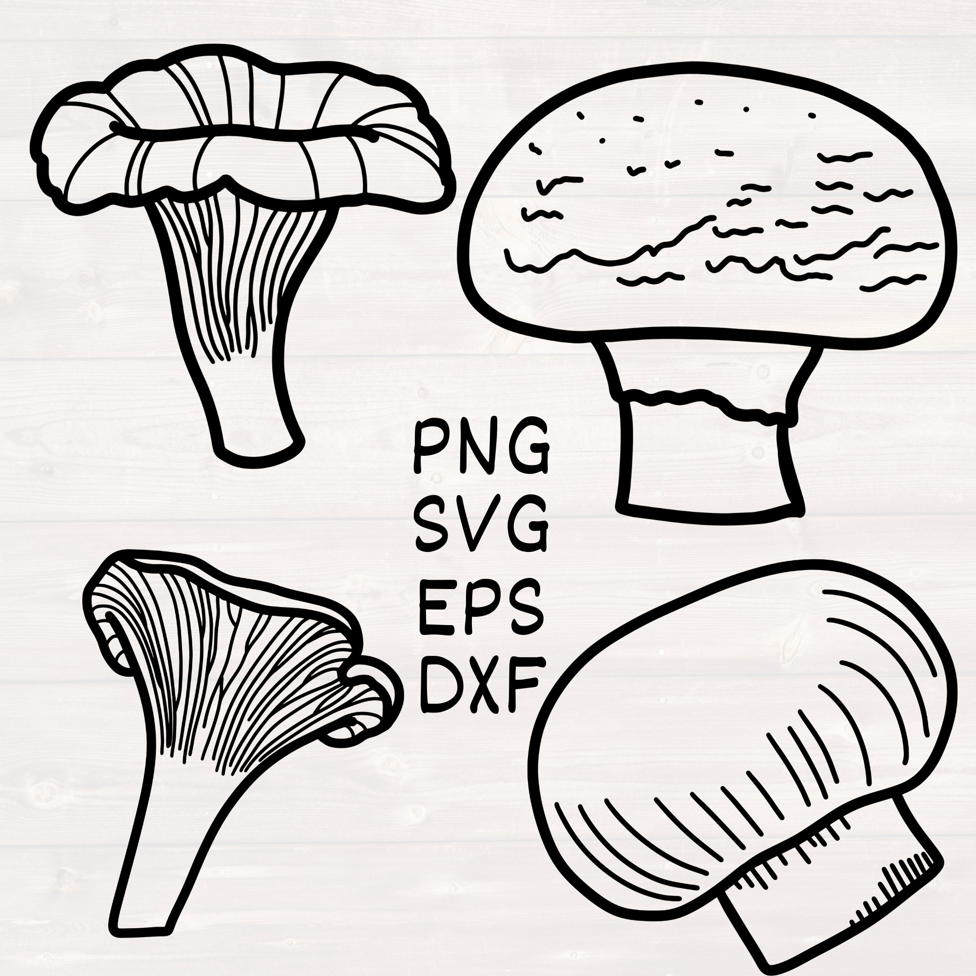 Mushrooms Svg, Mushroom Bundle Svg, Floral Mushroom Vinyl Cut File ...