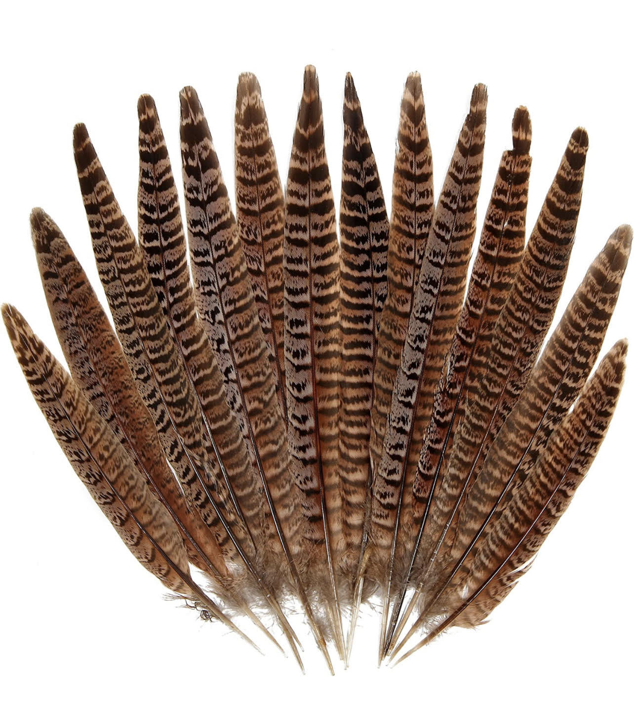 Pointing Dog Silhouette 4x6 Rustic Wood Frame, Choice of Male or Female ...