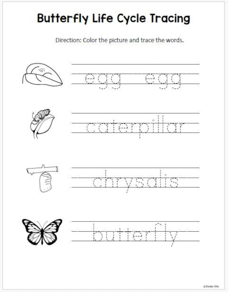Life Cycle of a Butterfly - Educational Craft & Research Report - Etsy