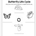 Life Cycle of a Butterfly - Educational Craft & Research Report - Etsy